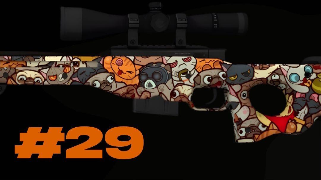 The AWP Paw Patterns Guide