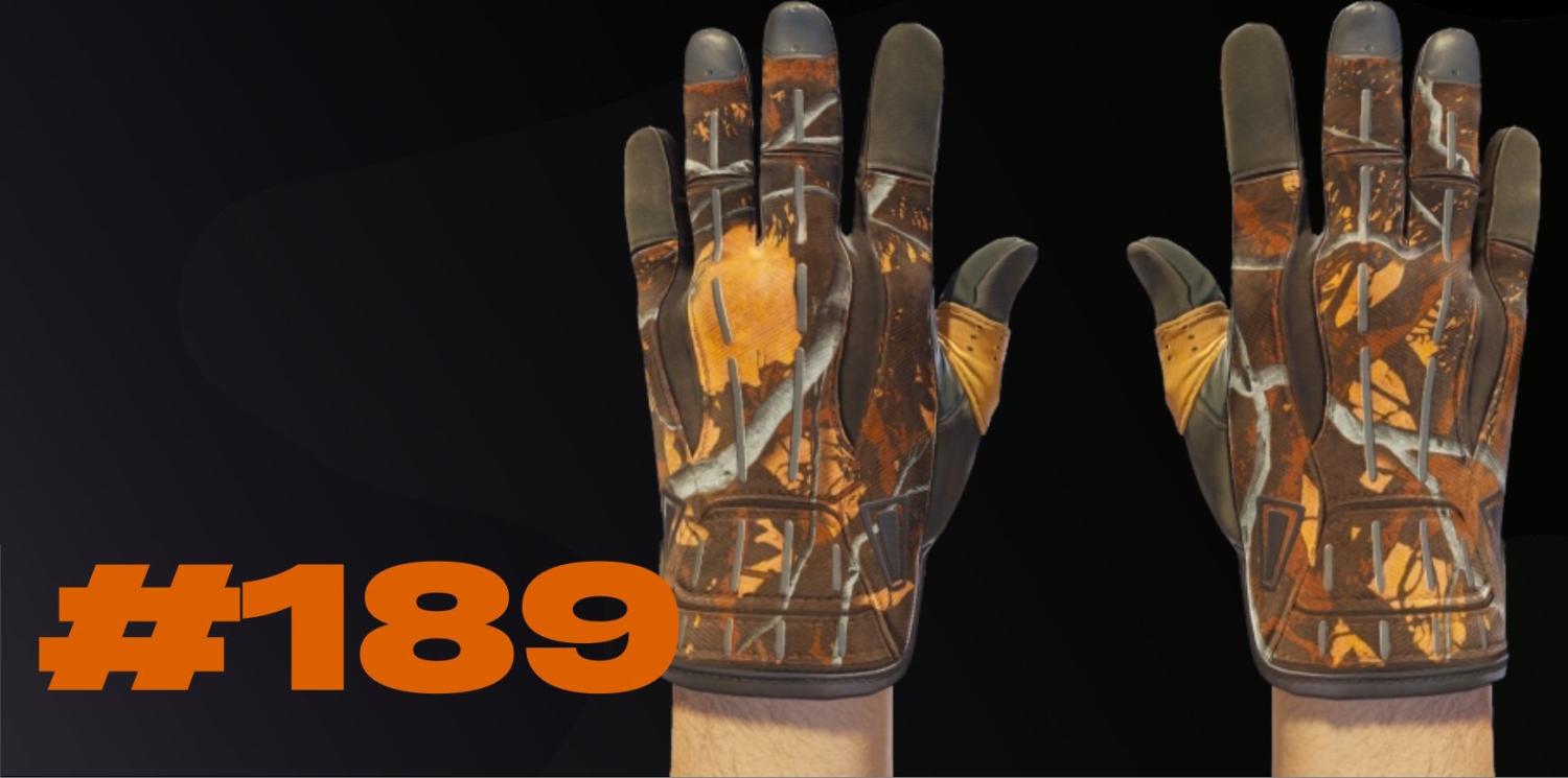 The Sport Gloves Big Game Pattern Guide