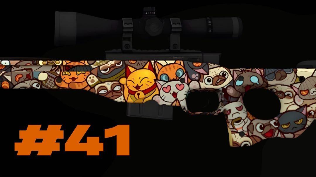 The AWP Paw Patterns Guide