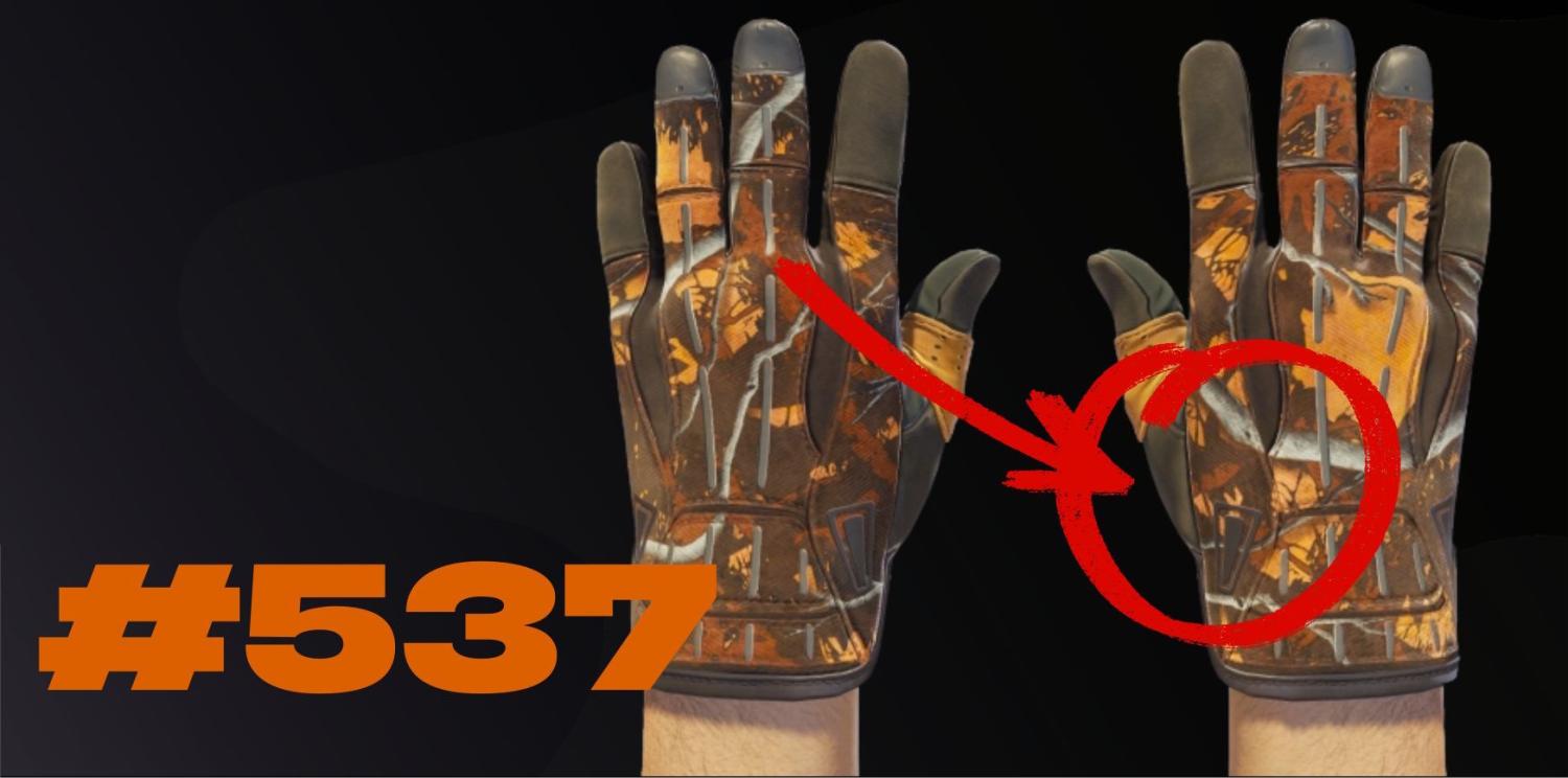 The Sport Gloves Big Game Pattern Guide