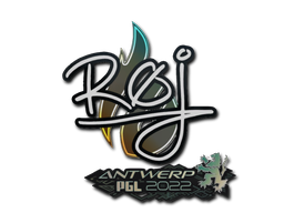Buy Sticker | roeJ | Antwerp 2022 – skin price $0.02 for CS 2