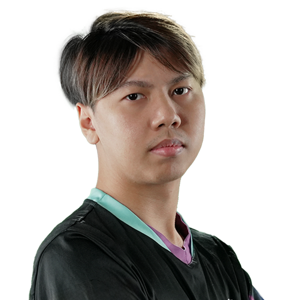 Buy Holo Q Player Sticker - TI 2024 – skin price $0.02 Buy Dota 2 Skins