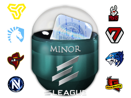 Купить Региональные претенденты ELEAGUE Boston 2018 с Flash Gaming (голографическая/метал – цена ...